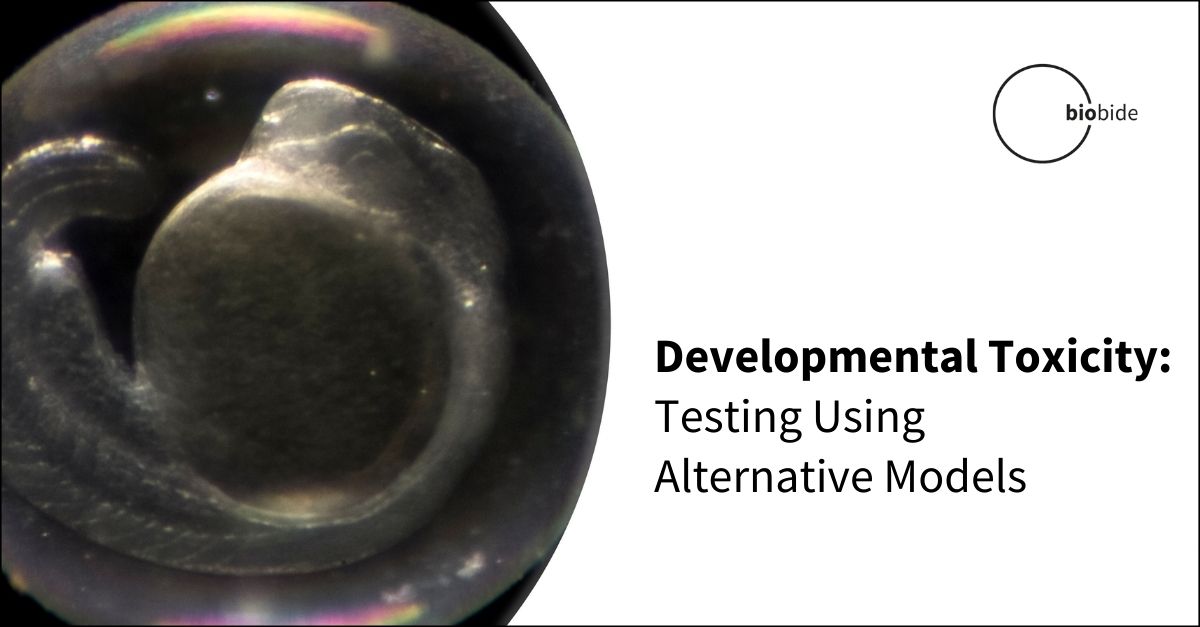 Developmental Toxicity Testing Using Alternative Models